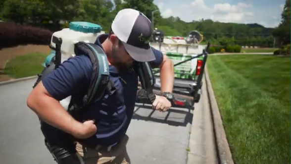 Lawn Pest Control in Chattanooga, TN | Champion Green